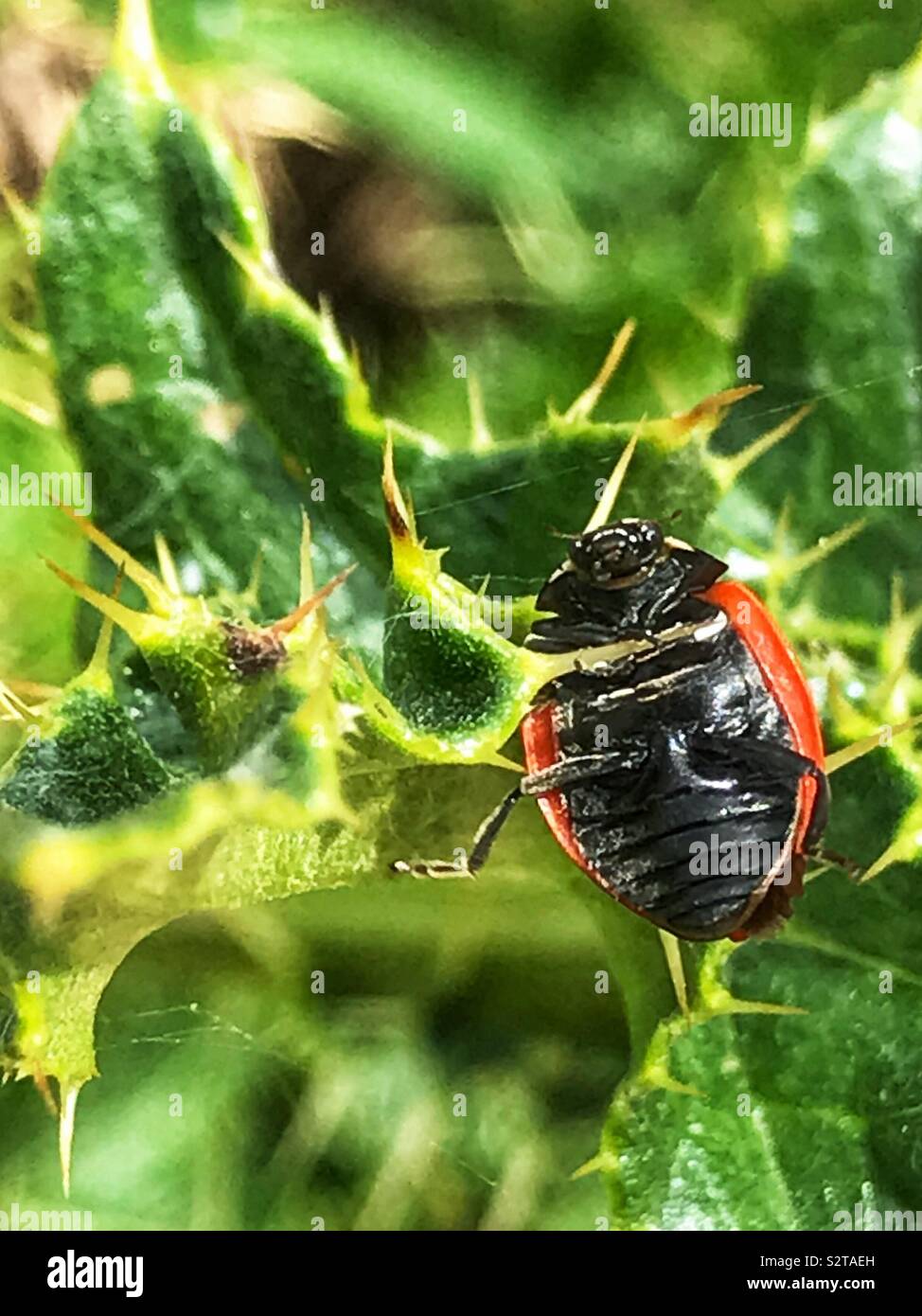 Legs underneath hi-res stock photography and images - Alamy