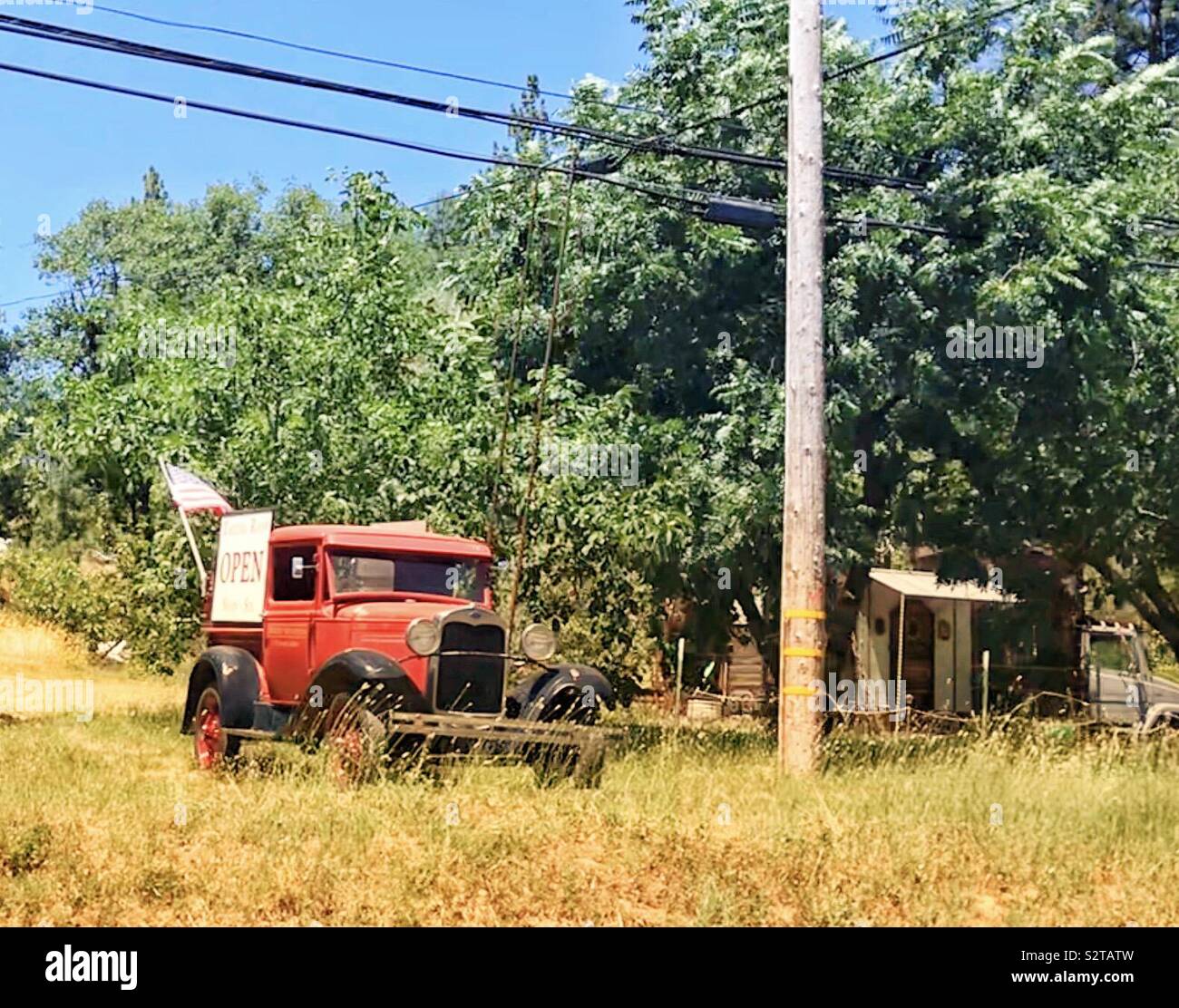 Old truck forest hi-res stock photography and images - Alamy