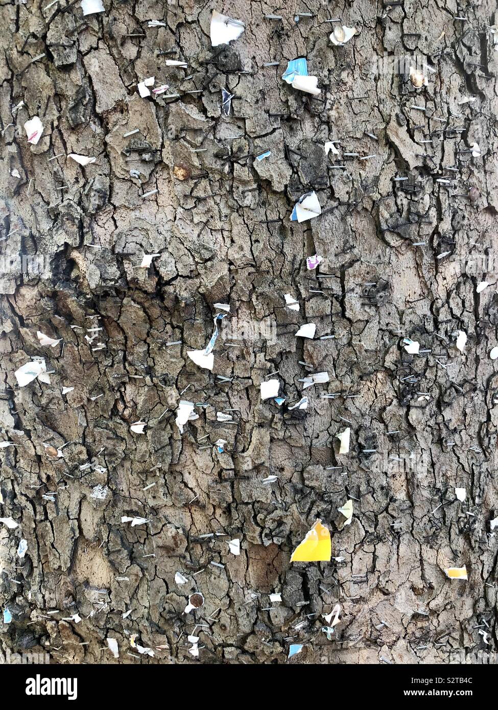 Tree trunk poster site Stock Photo - Alamy