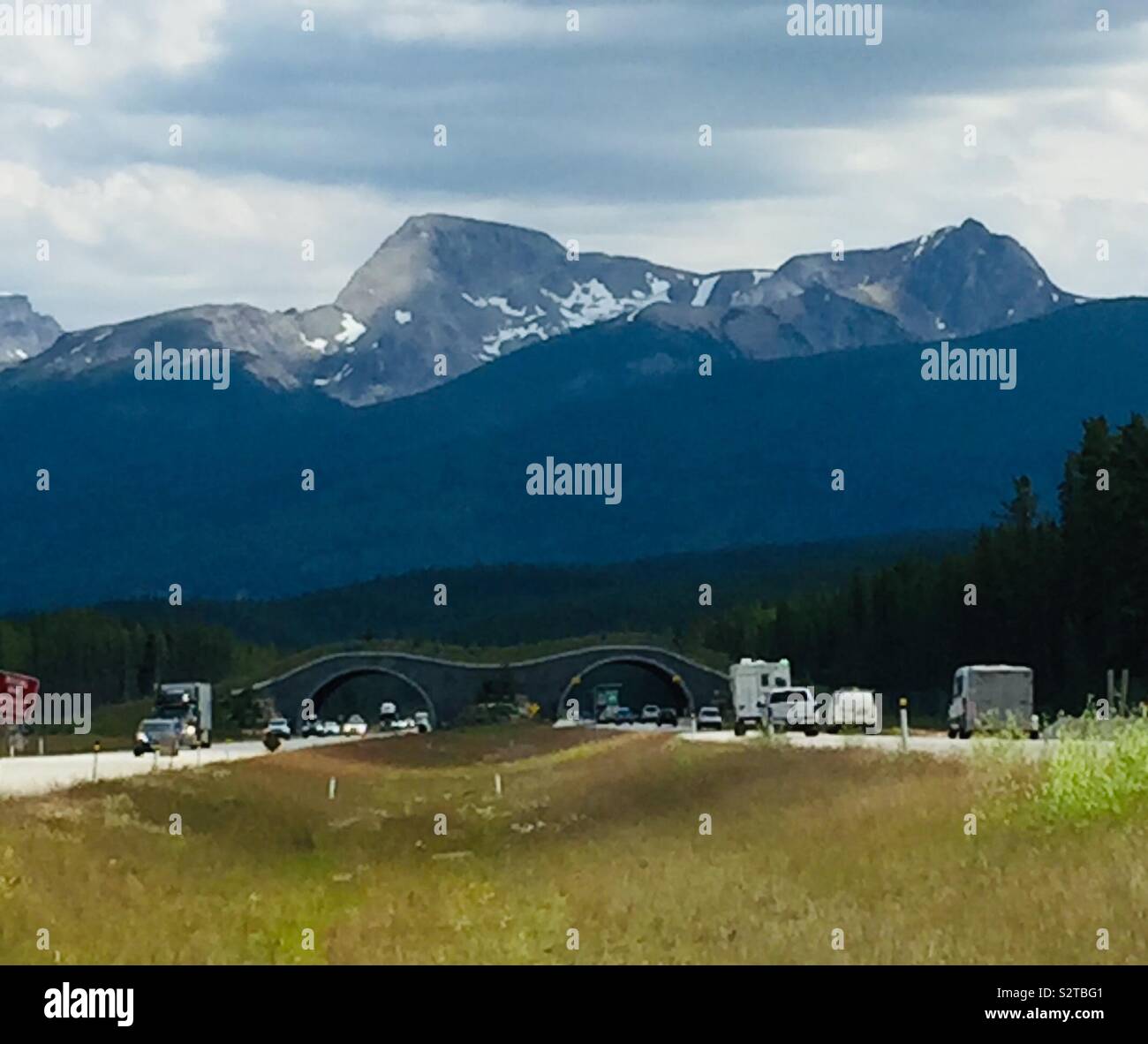 Wildlife overpass, trans Canada highway, Banff National Park, Alberta ...