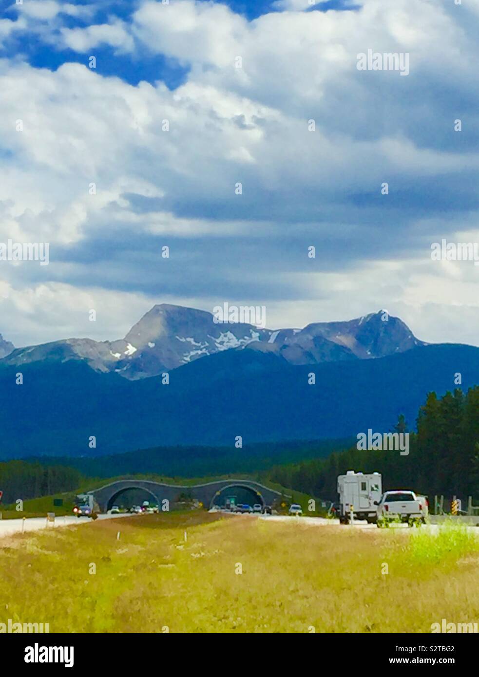 Wildlife overpass, trans Canada highway, Banff National Park, Alberta ...