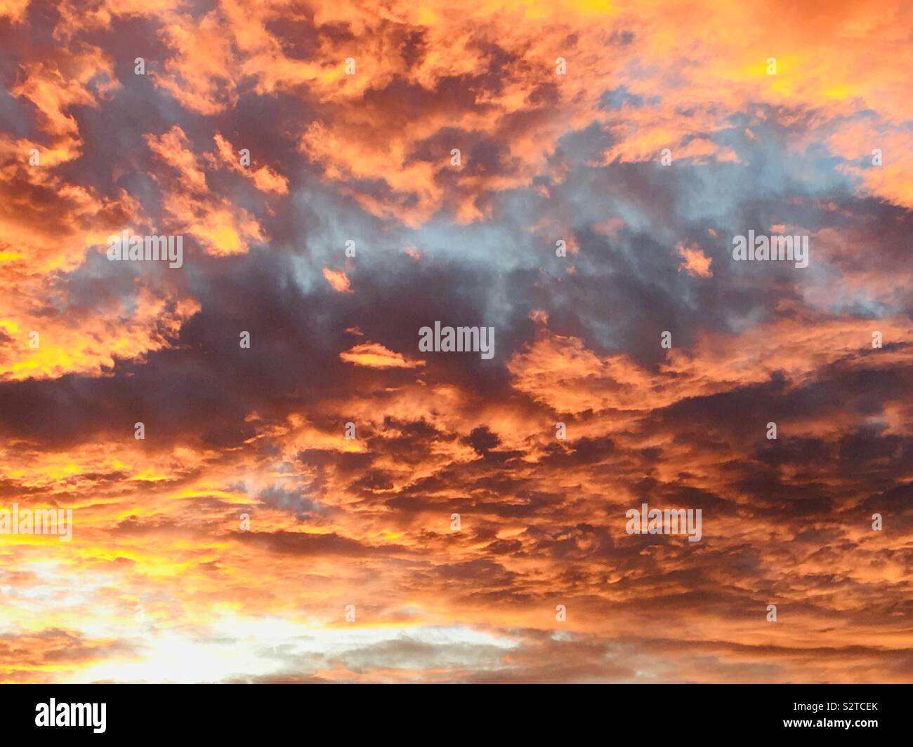 Red sky at night, Devon, England Stock Photo - Alamy