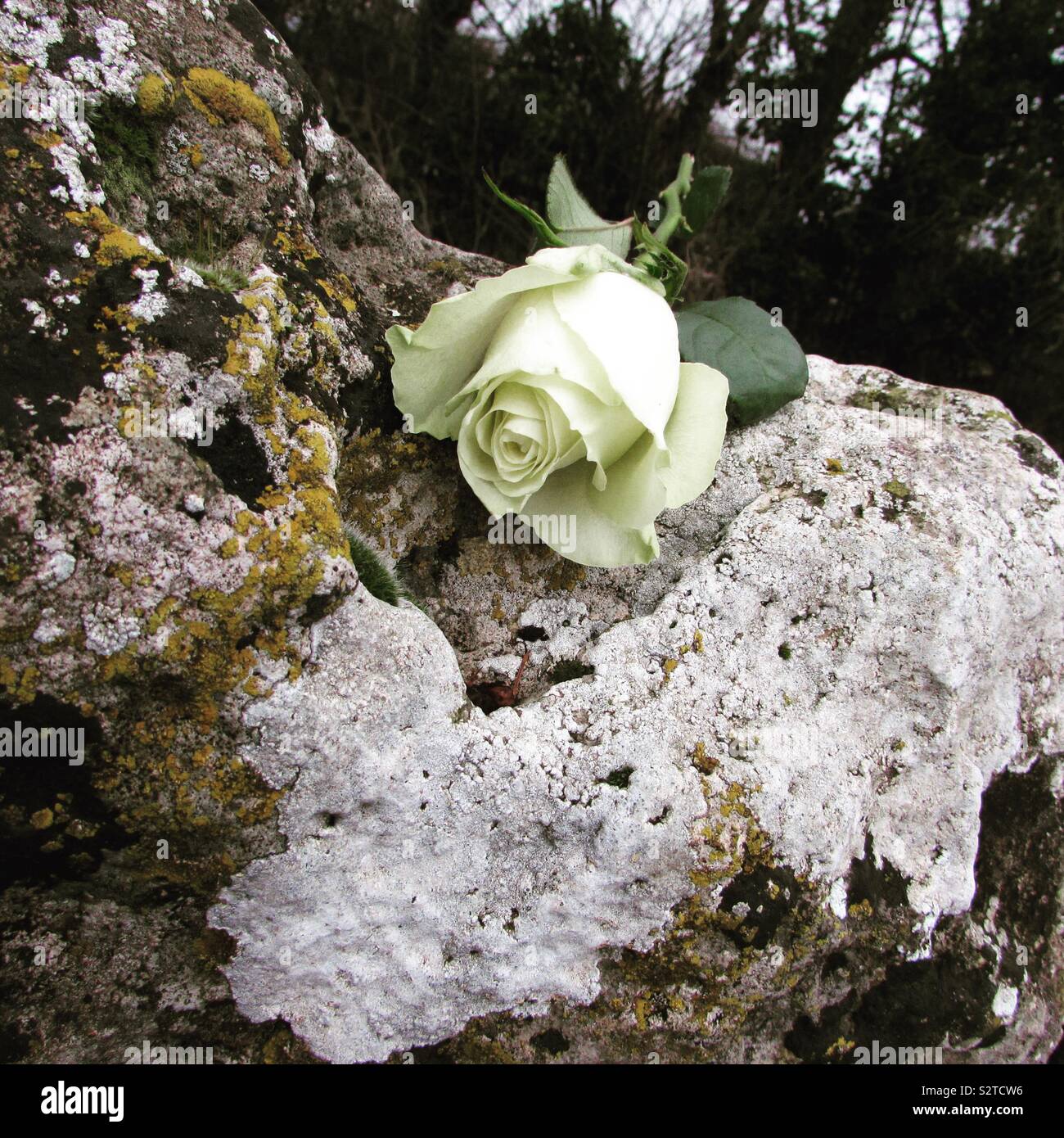 Miss stone stone hi-res stock photography and images - Alamy