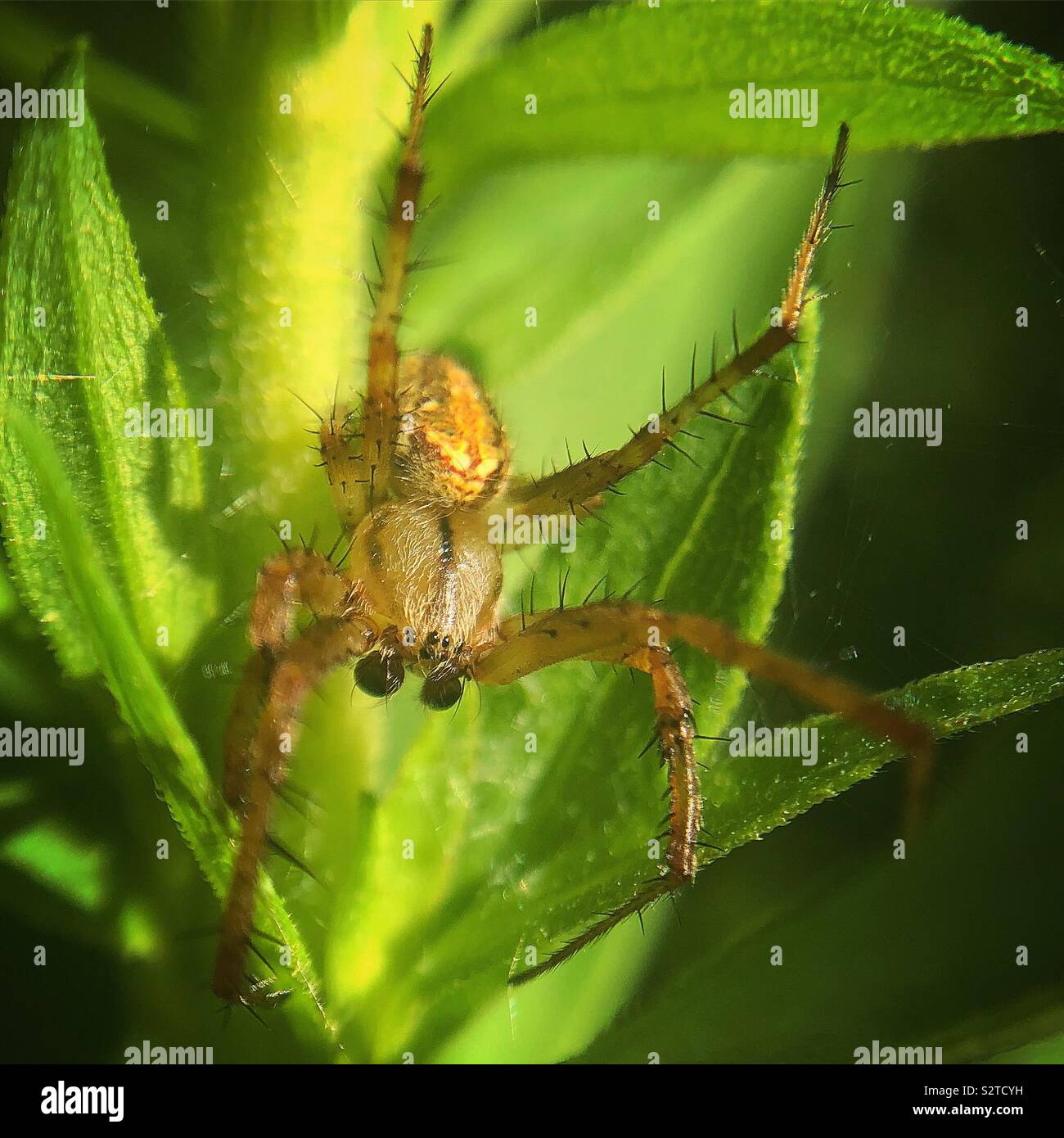 Wayne weaver hi-res stock photography and images - Alamy