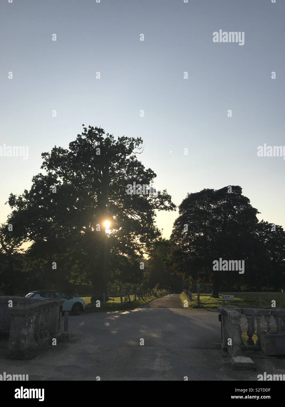 Sun behind tree hi-res stock photography and images - Alamy