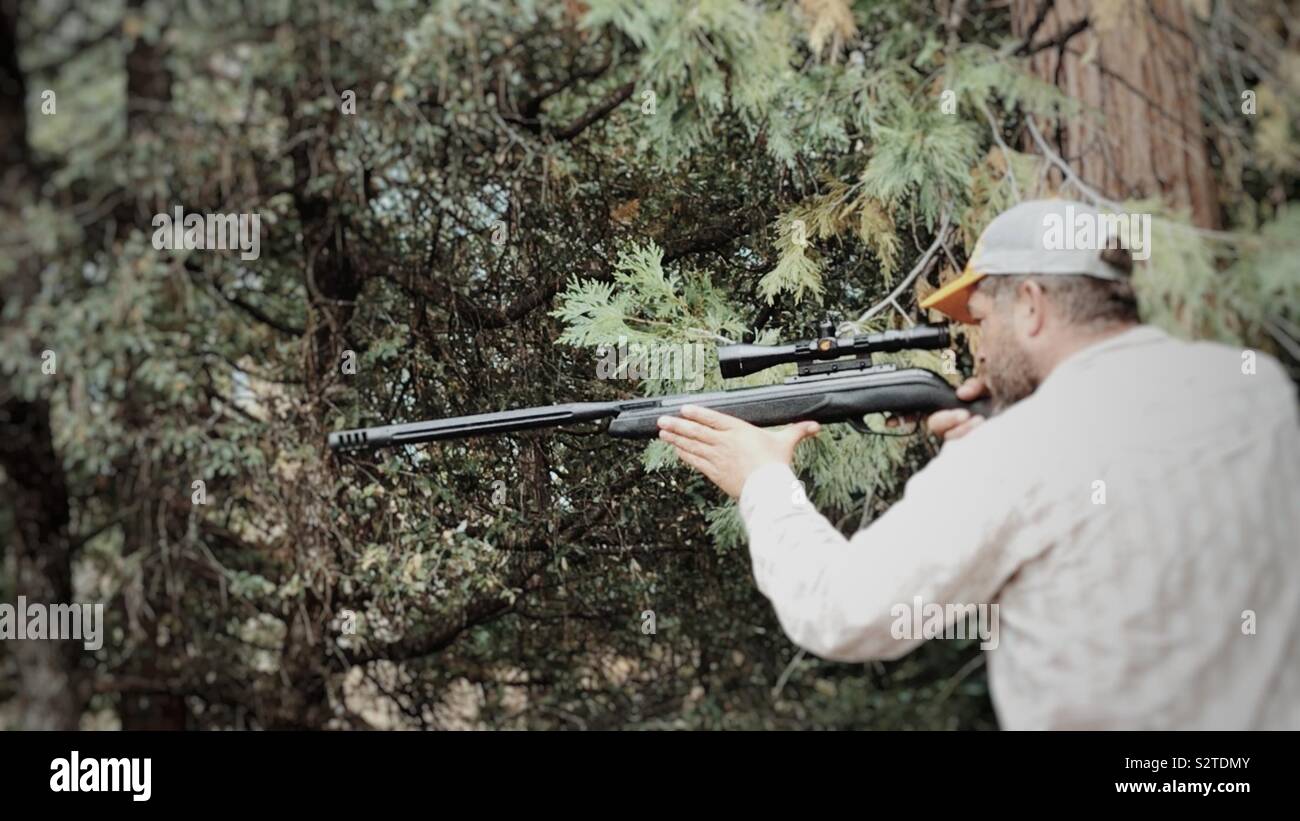 Man holding a rifle and looking through the scope while hunting. Green ...
