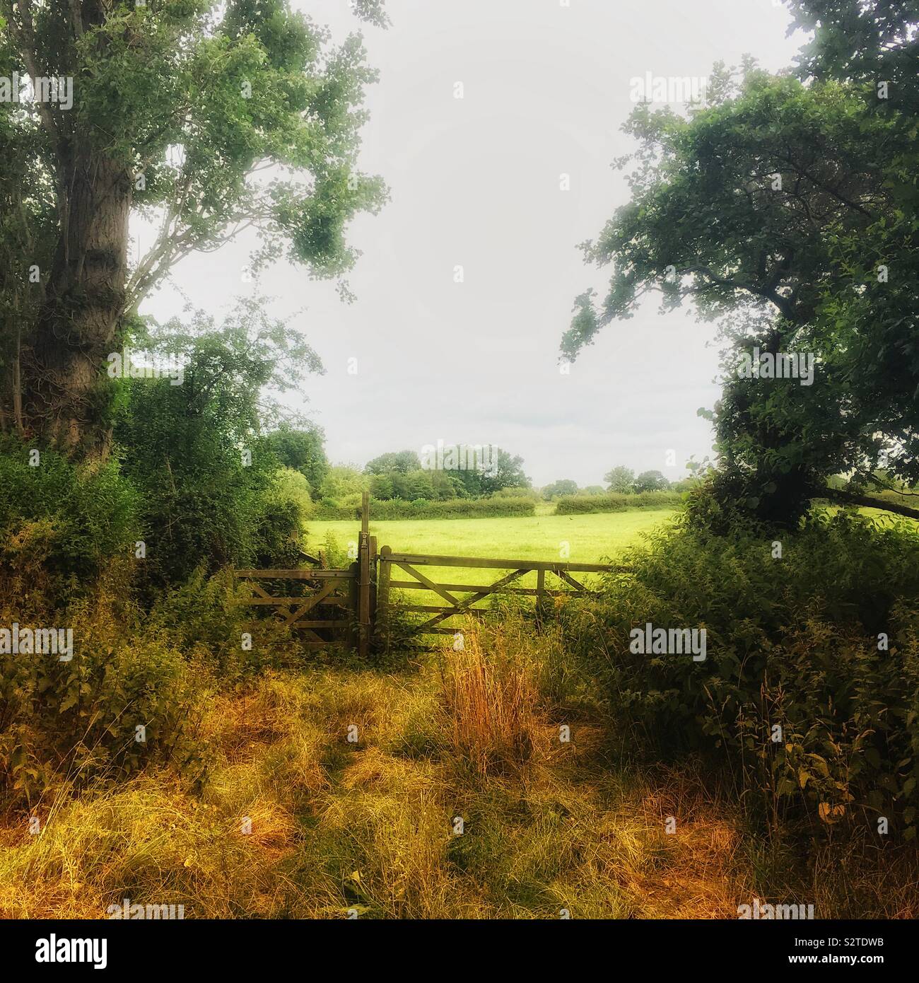 Landscape view over fence in Cheshire Uk Stock Photo - Alamy