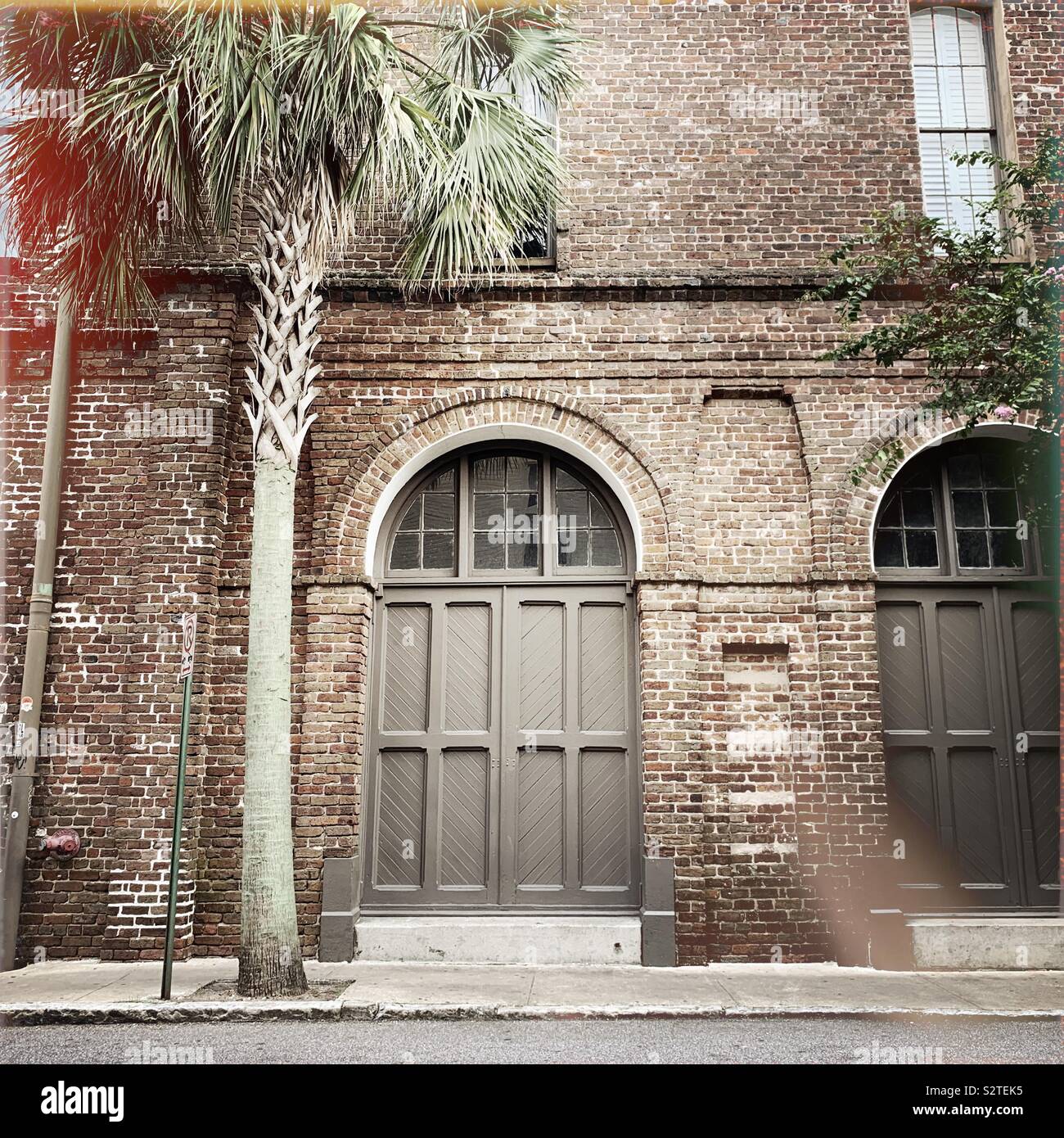 An historic building and a palmetto tree in Charleston, SC Stock Photo ...