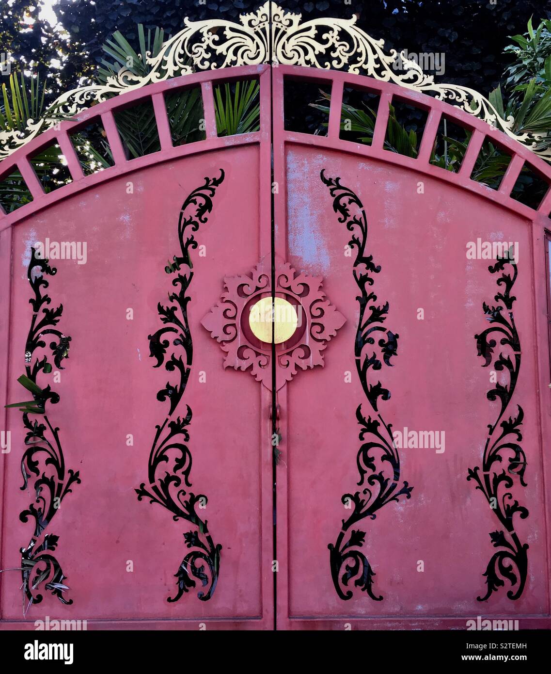 Pinky gates hi-res stock photography and images - Alamy