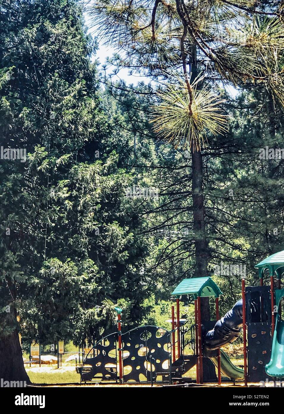 Kids playground and structure in the forest with trees surrounding on a ...