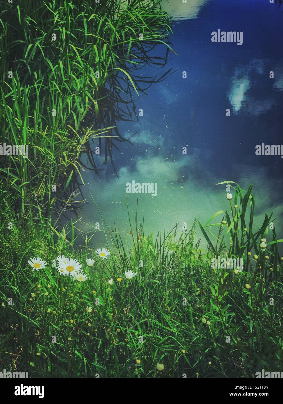 Grassy River Bank High Resolution Stock Photography and Images - Alamy