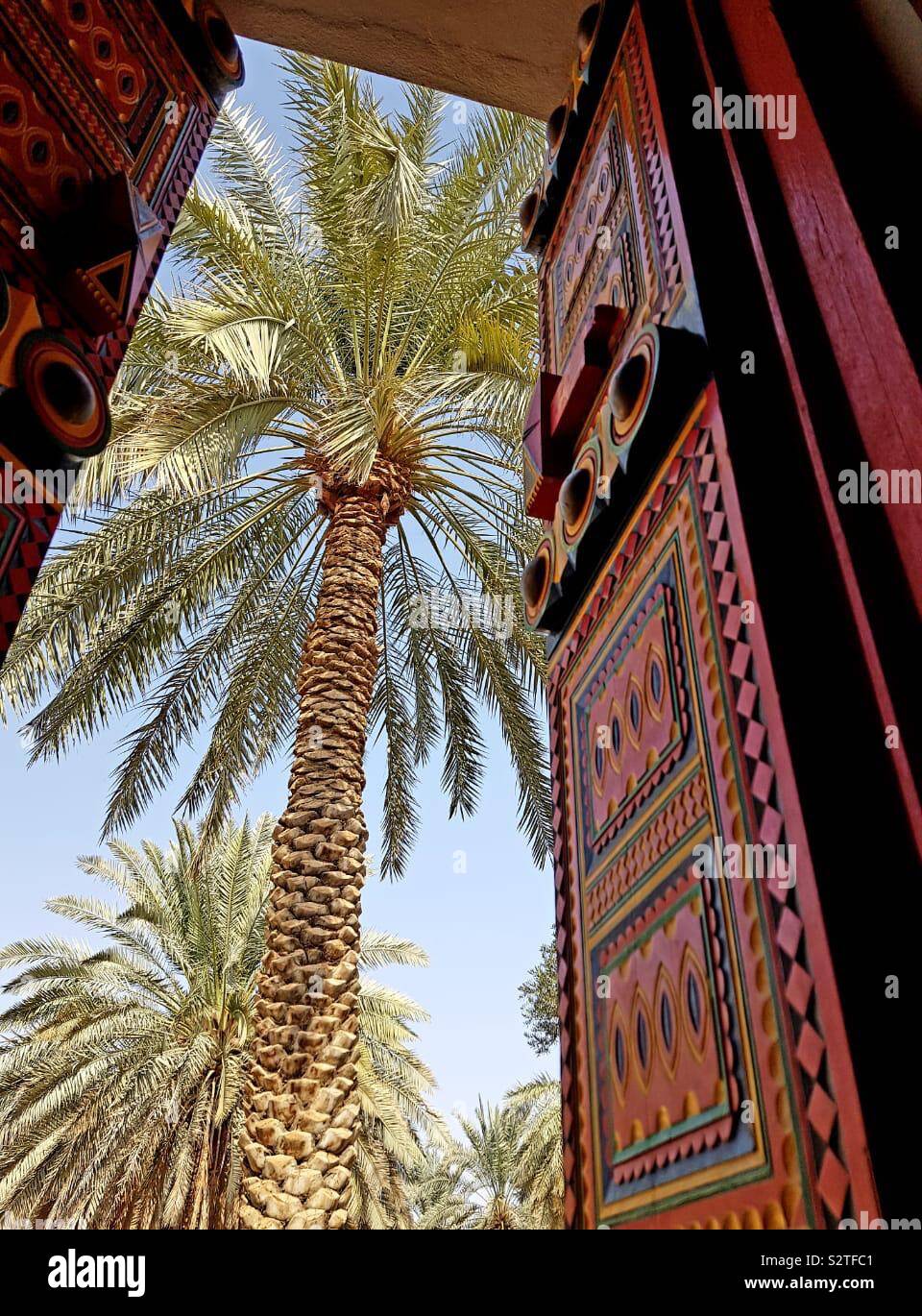 Middle eastern tree Stock Photo - Alamy