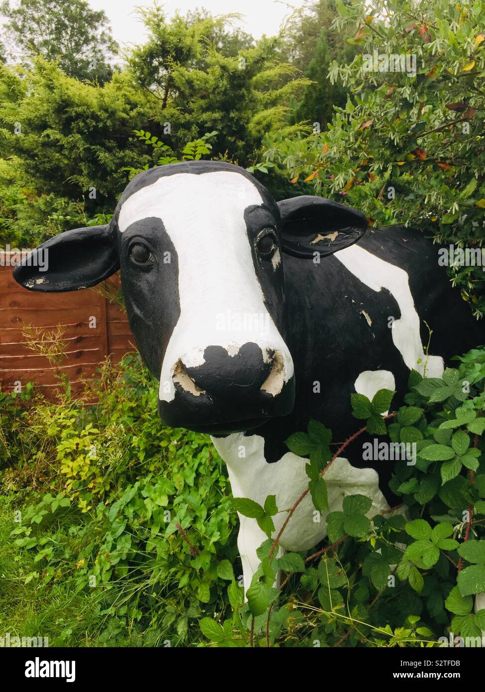 Model cow in garden Stock Photo - Alamy