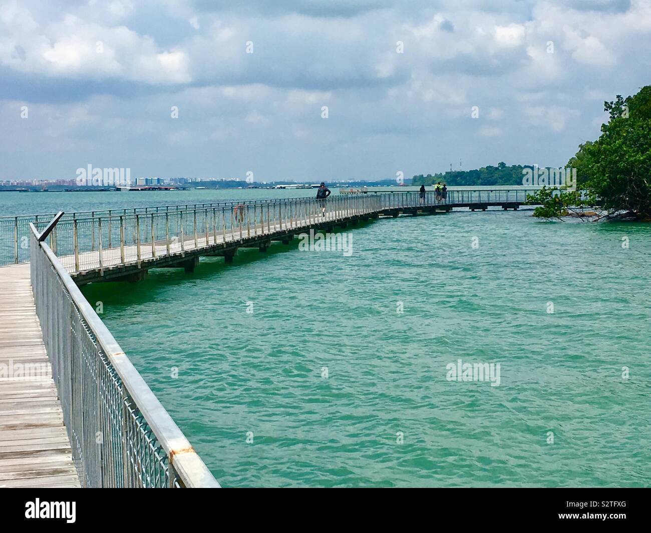 Pulau ubin mangroves hi-res stock photography and images - Alamy