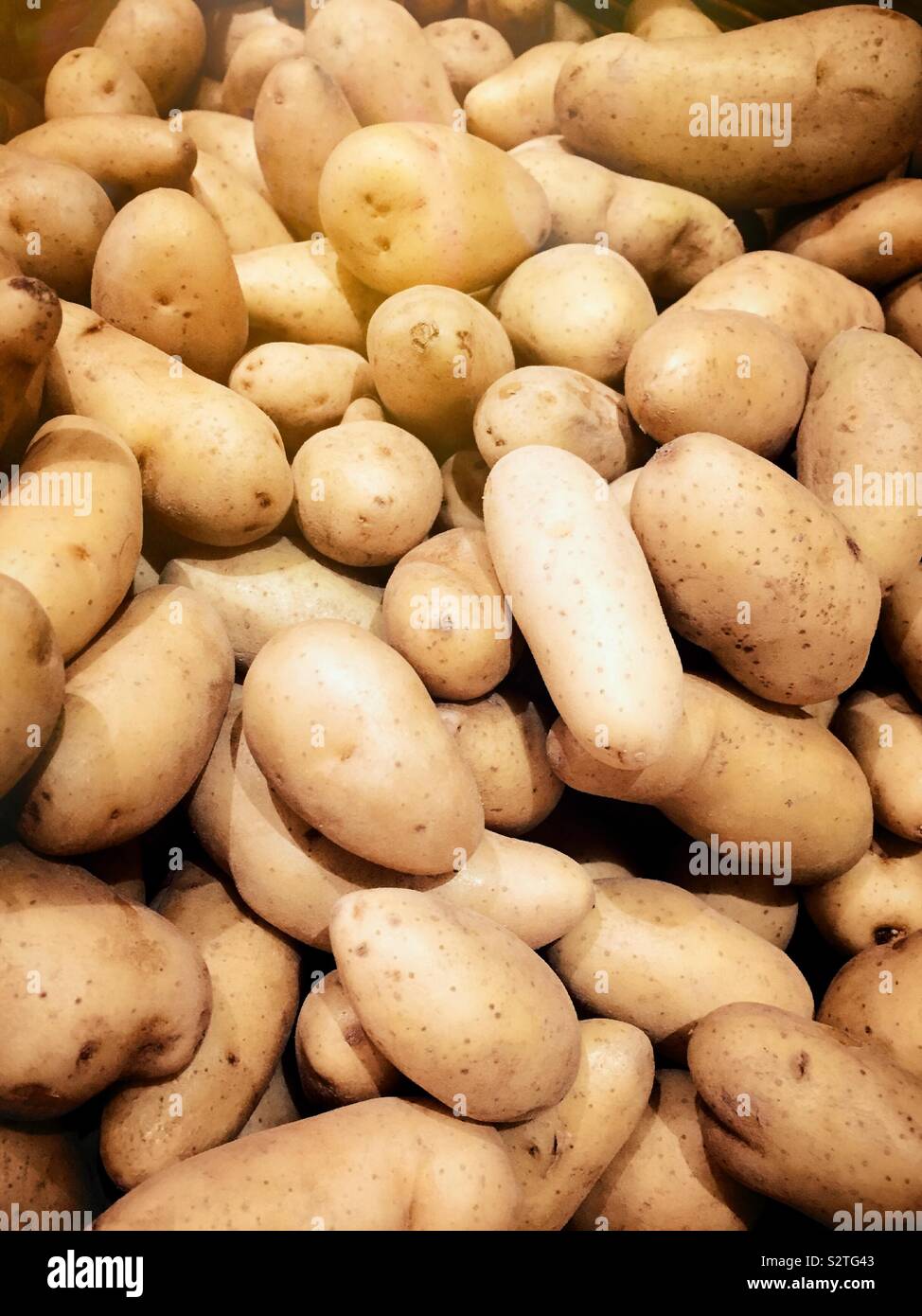 Russian fingerling potatoes hi-res stock photography and images - Alamy