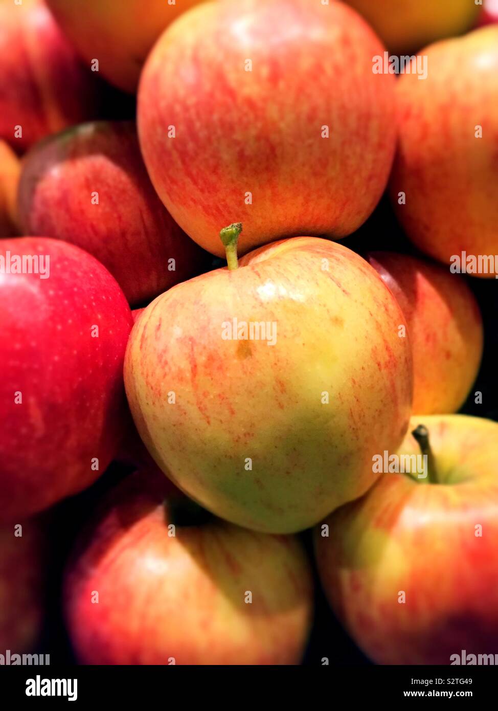 Red delicious apples hi-res stock photography and images - Alamy