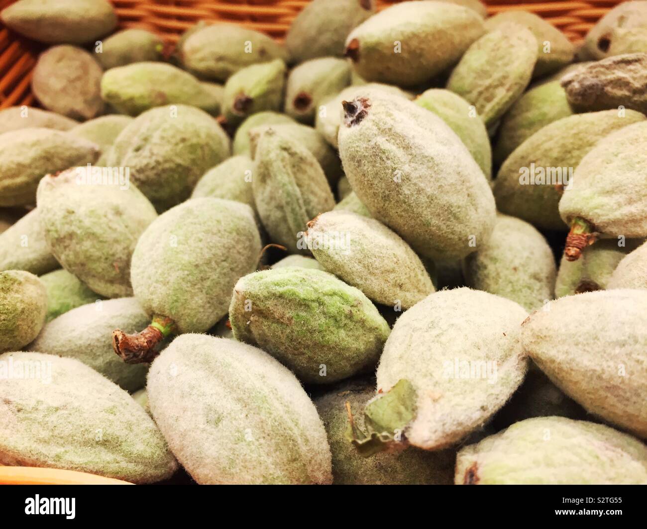 Fresh green almonds for sale in the produce aisle of a grocery store in ...