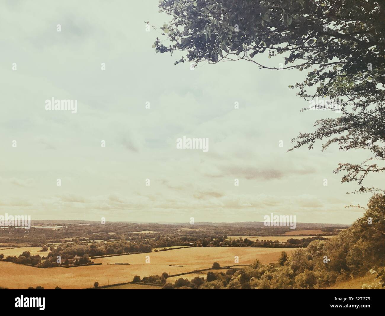 Countryside with tree in foreground Stock Photo - Alamy