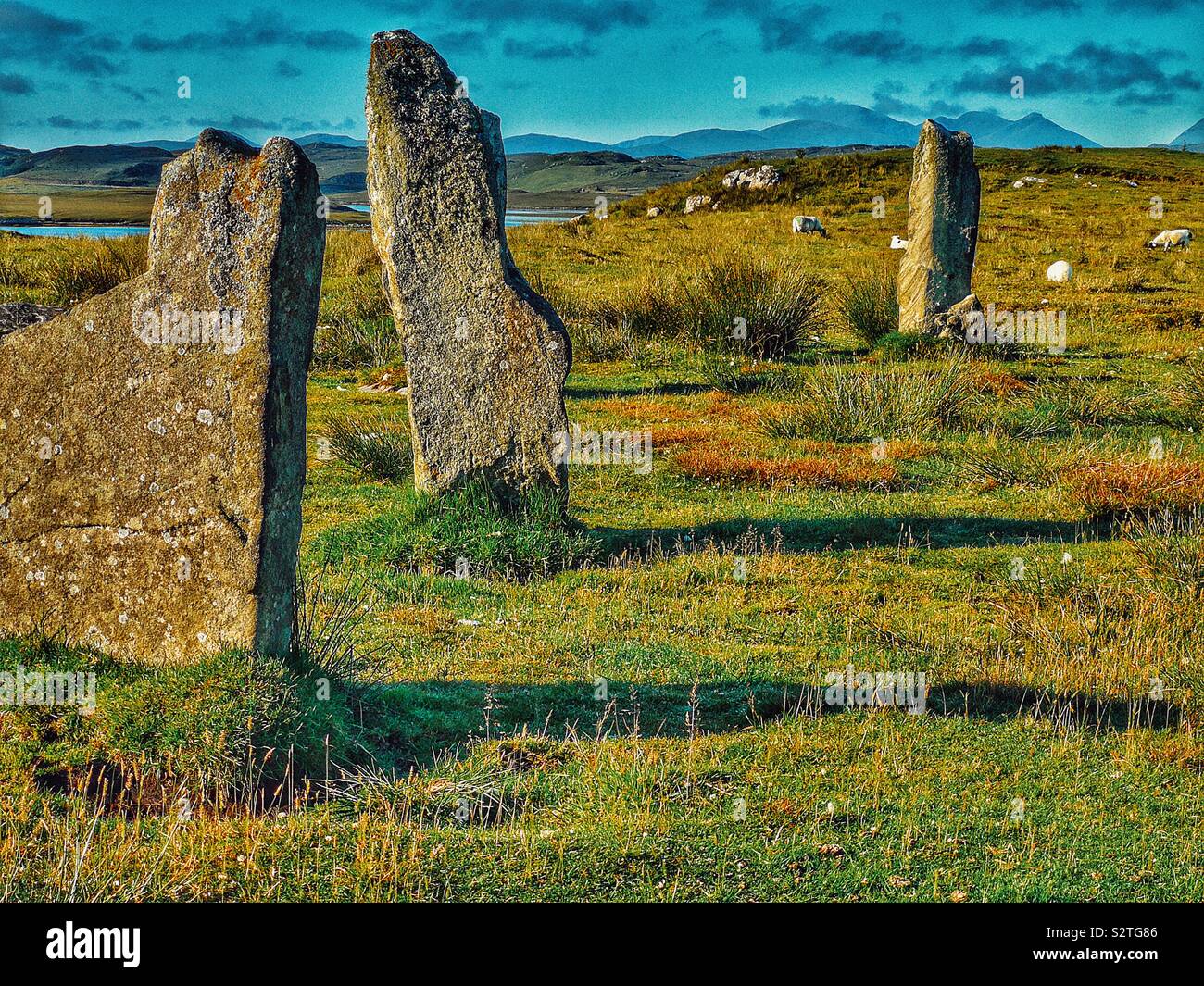 Callanish III (Cnoc Fillibhir Bheag) standing stones stone circle, Isle ...