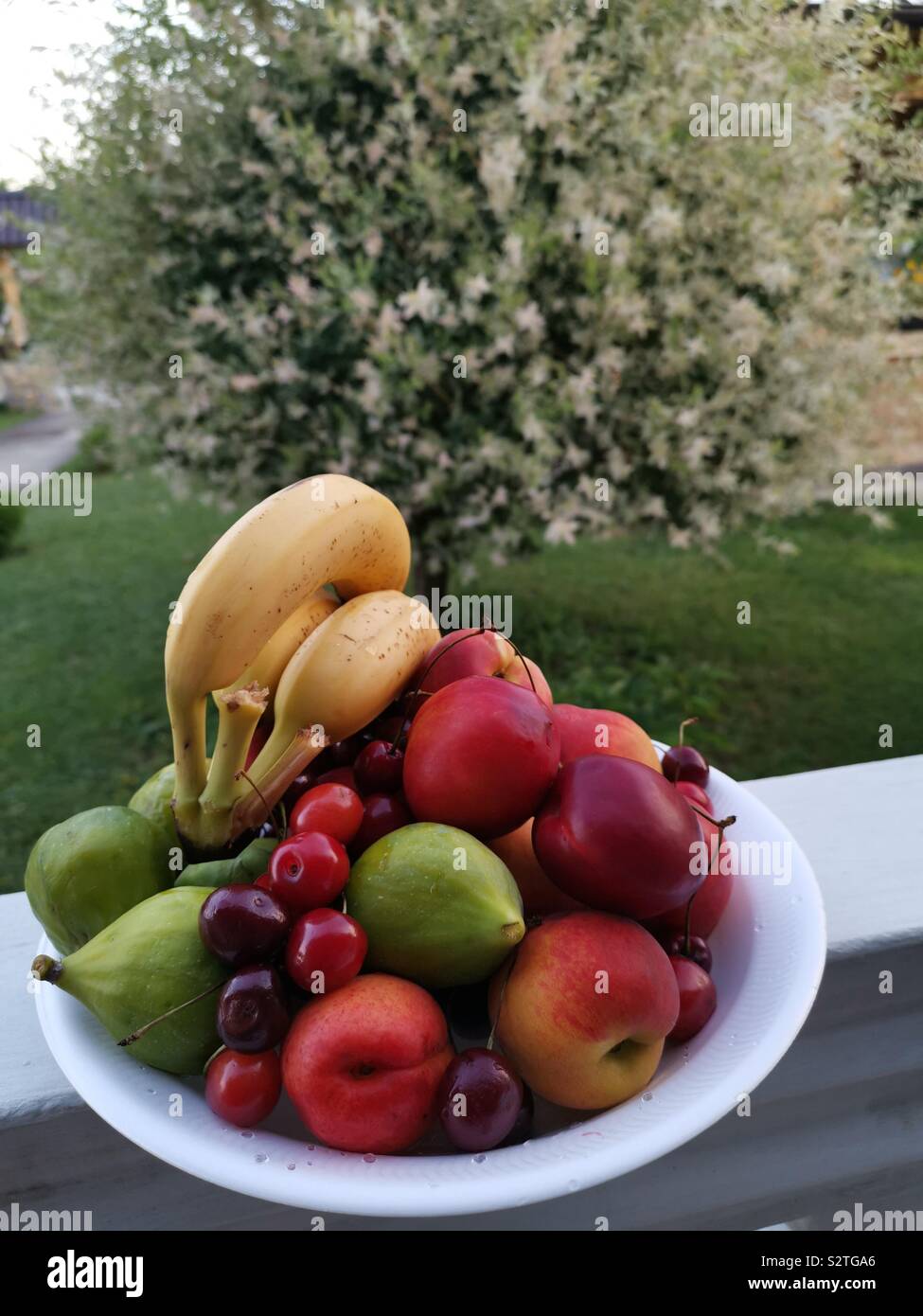 Fruits colors hi-res stock photography and images - Alamy
