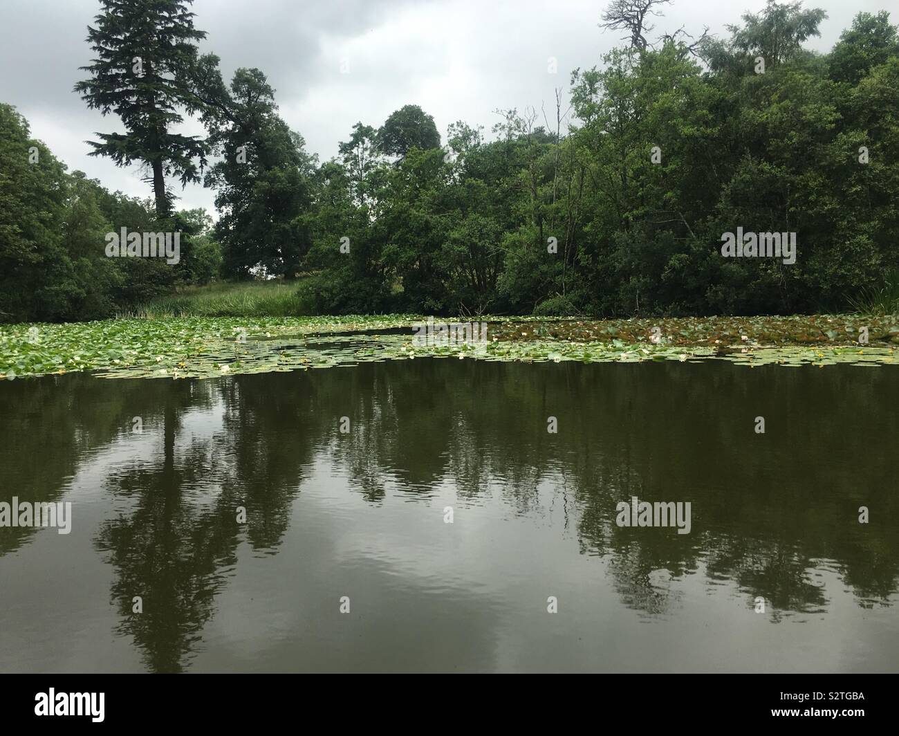Lilypond High Resolution Stock Photography and Images - Alamy
