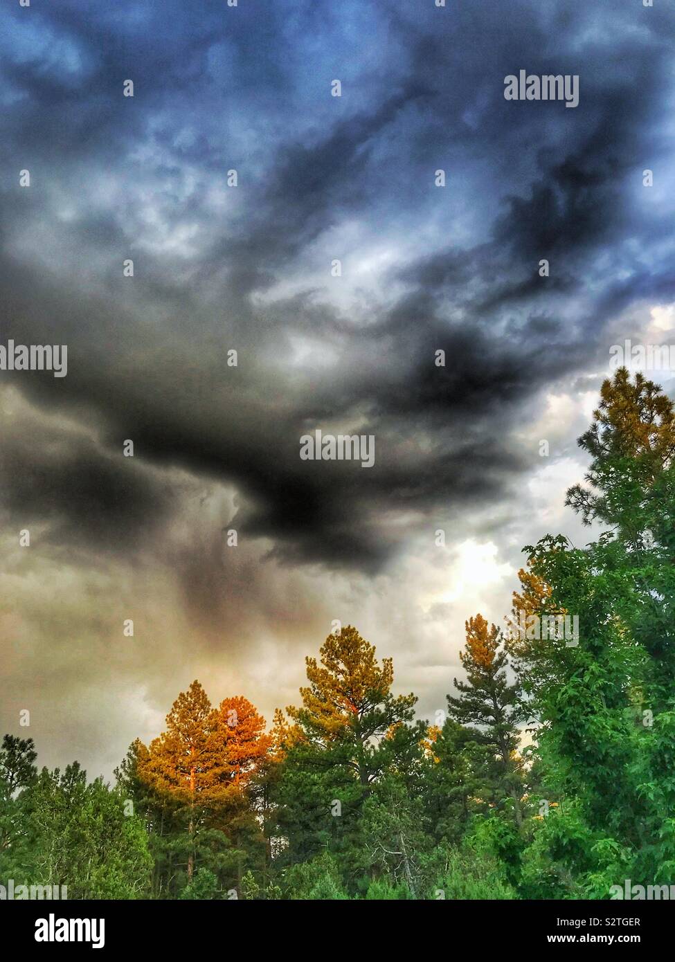 Thunderstorms hi-res stock photography and images - Alamy