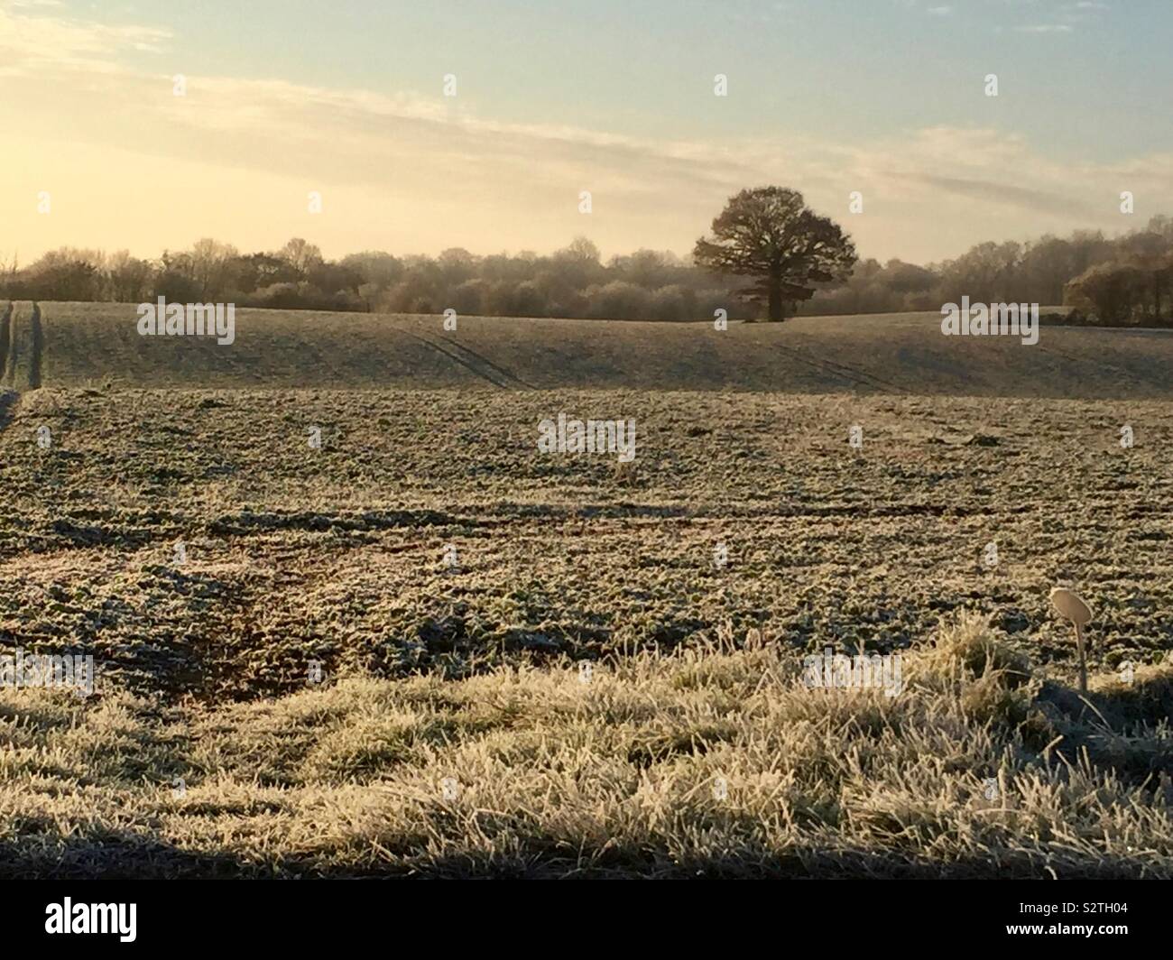 Winter in French countryside Stock Photo - Alamy