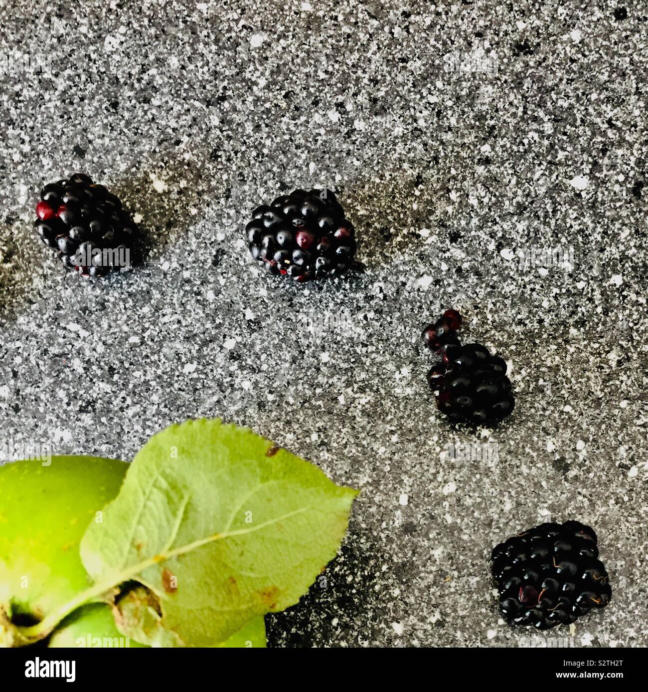 Apple blackberries hi-res stock photography and images - Alamy