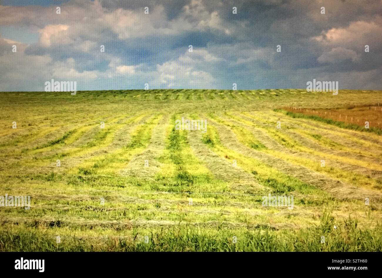 Swathing hi-res stock photography and images - Alamy
