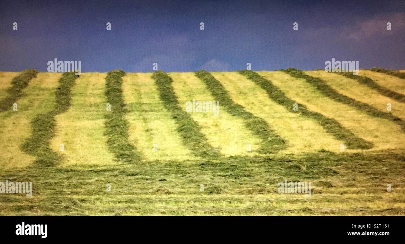 Swathing hi-res stock photography and images - Alamy