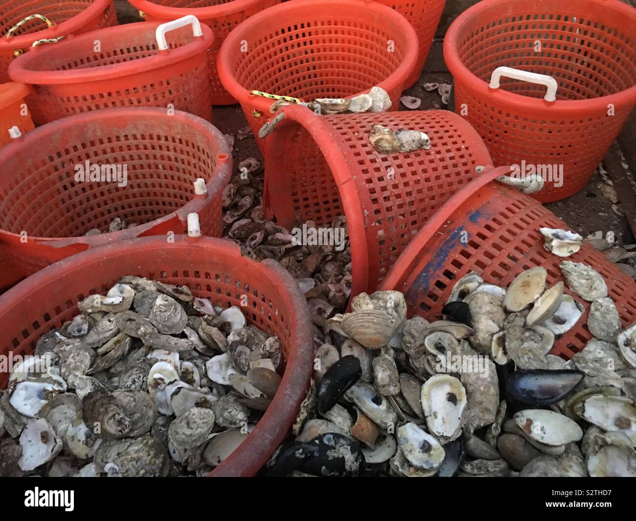 Shell Recycling High Resolution Stock Photography and Images - Alamy