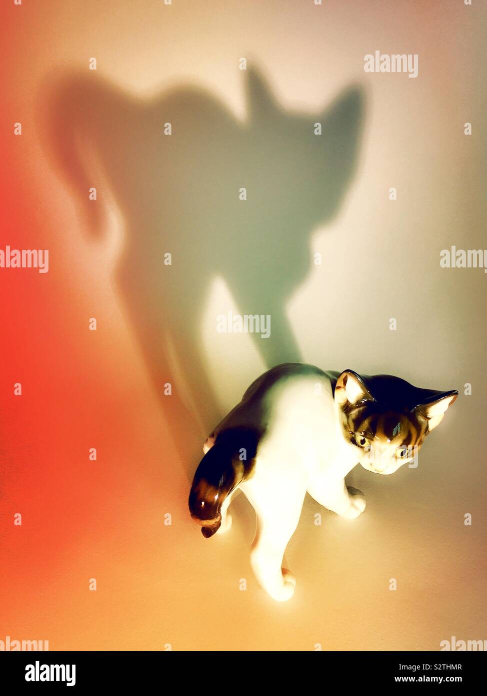 Menacing cat hi-res stock photography and images - Alamy