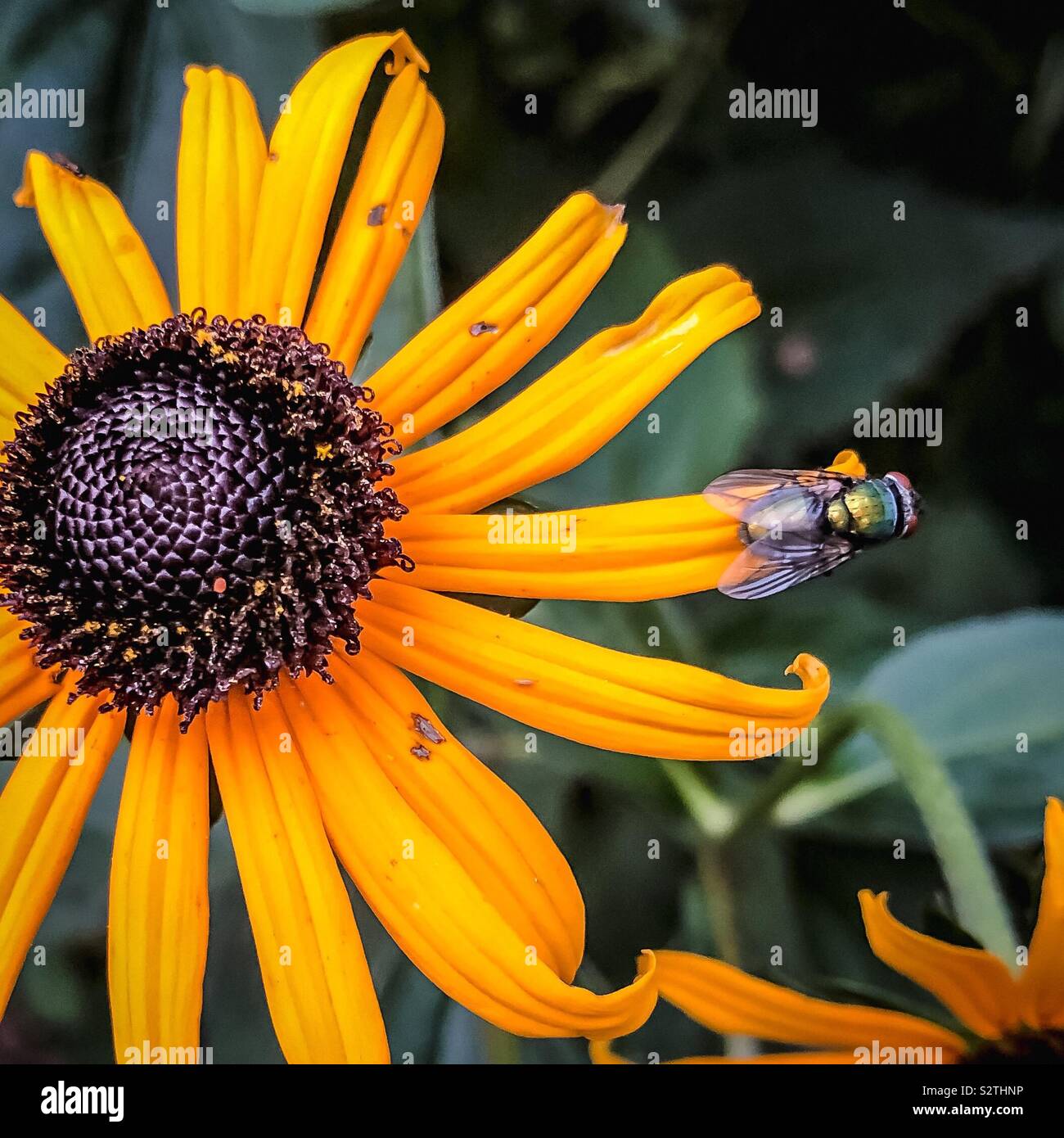 Unexpected photography hi-res stock photography and images - Alamy