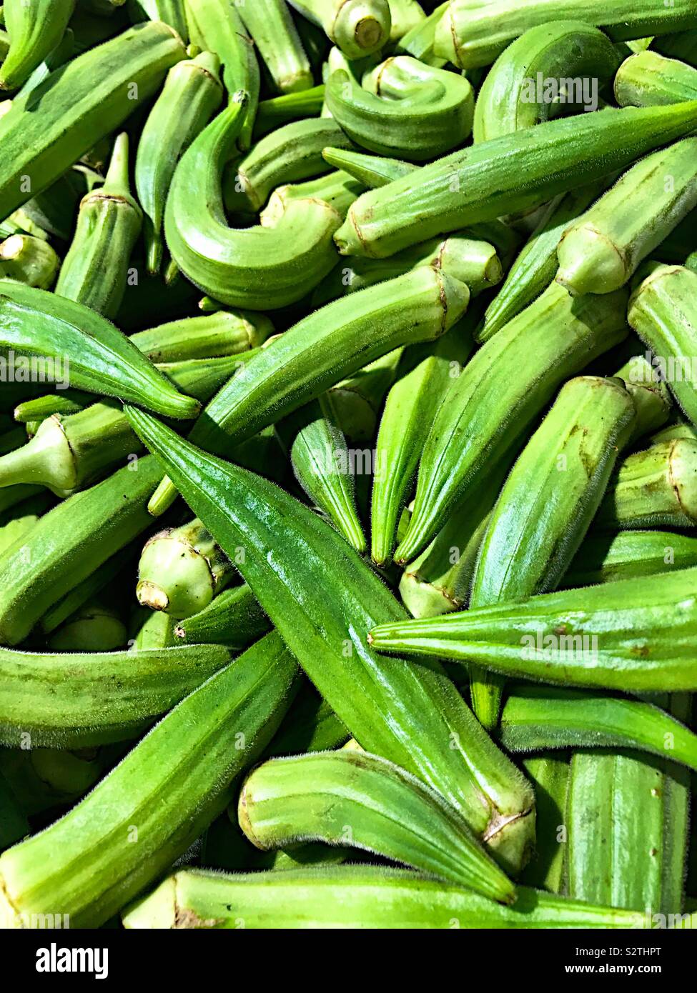 Okras hi-res stock photography and images - Alamy