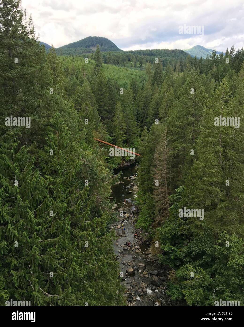 Cowichan river hi-res stock photography and images - Alamy