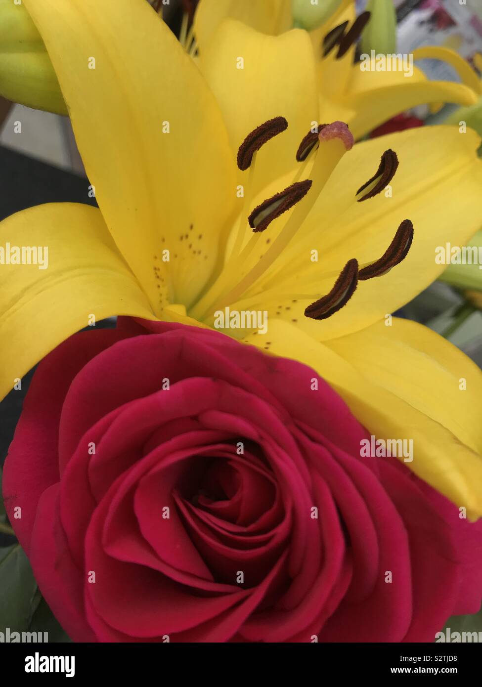 Lily rose bouquet hi-res stock photography and images - Alamy