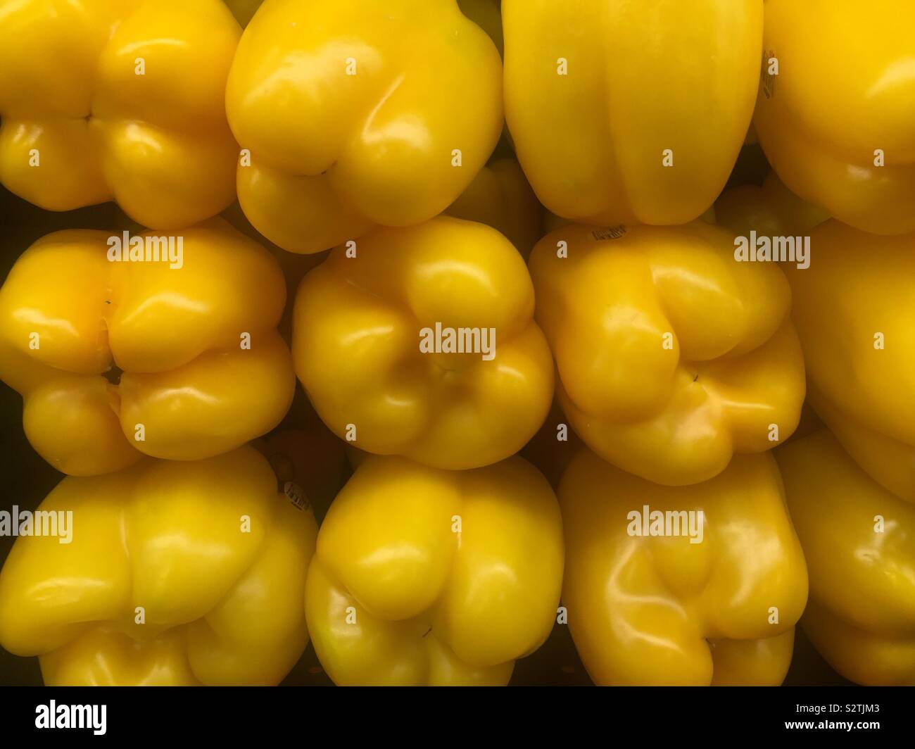 Background of the Bottom of a group of yellow bell peppers Stock Photo ...