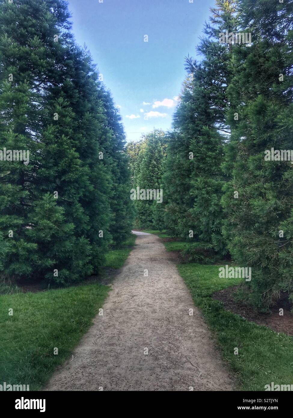 Strolling pathway hi-res stock photography and images - Alamy