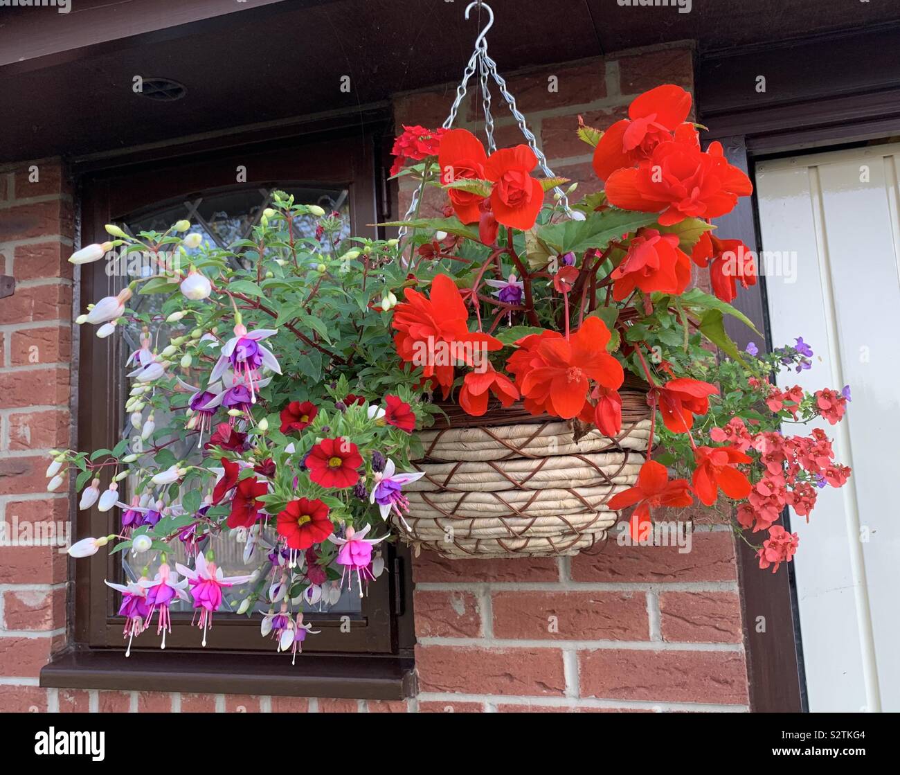 Hanging basket blooms hi-res stock photography and images - Alamy