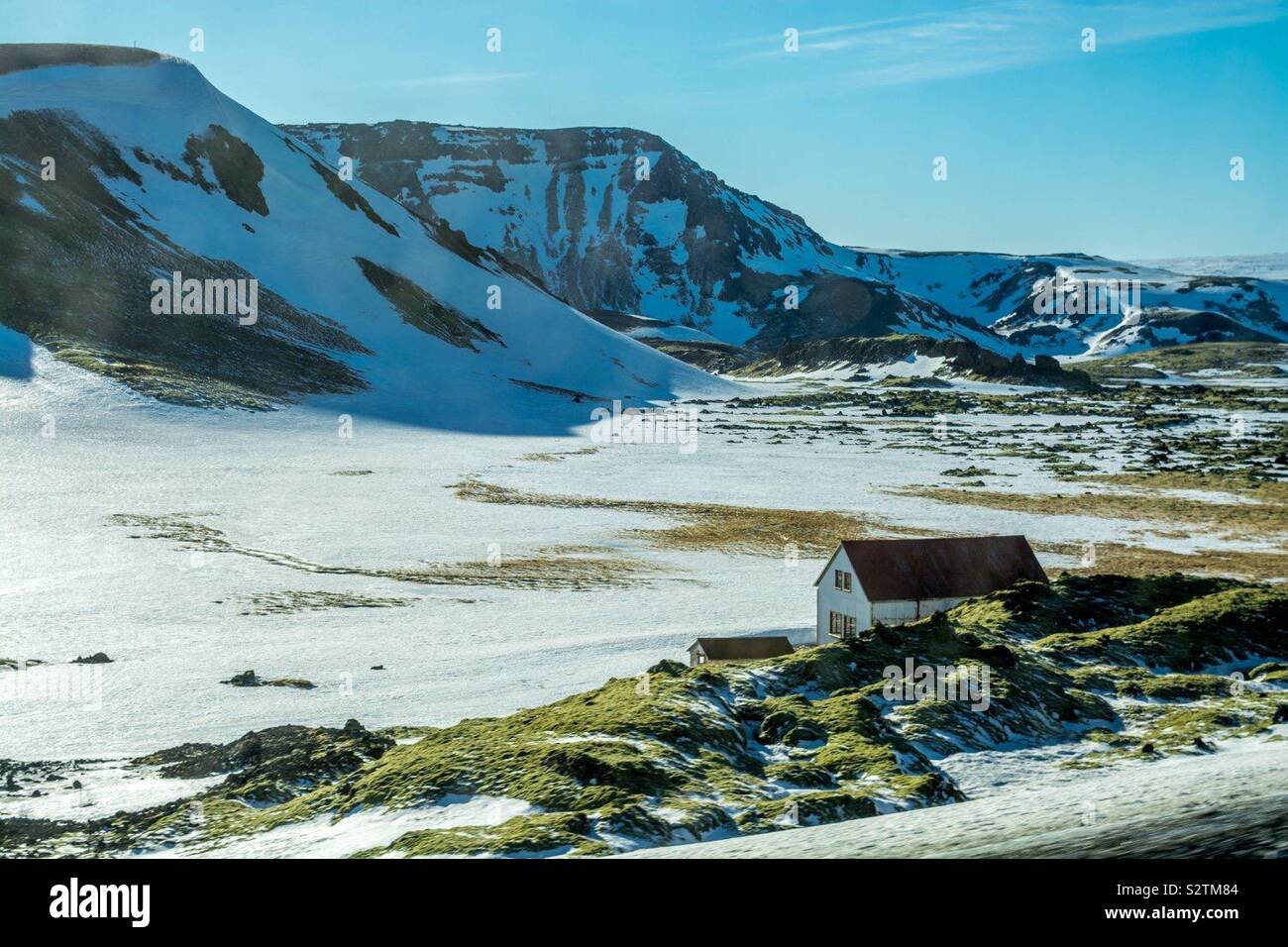 Lost in the wild Stock Photo - Alamy
