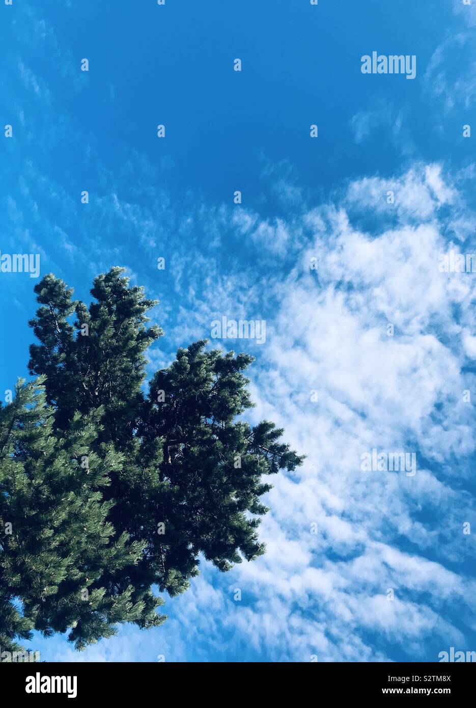 English summer sky hi-res stock photography and images - Alamy