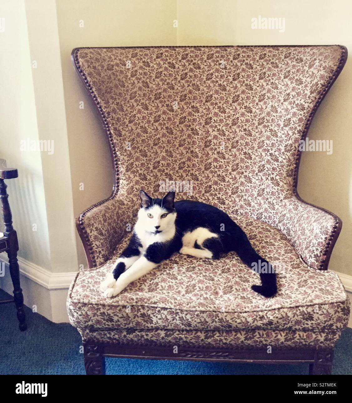 Posh boy hi-res stock photography and images - Alamy