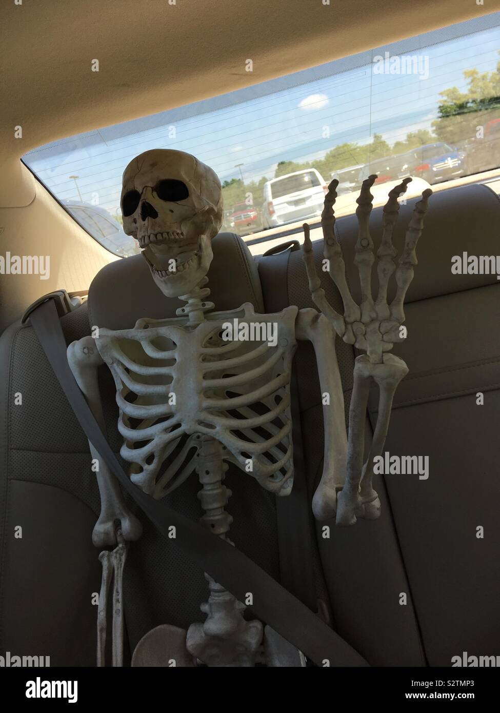 Skeleton funny hi-res stock photography and images - Alamy