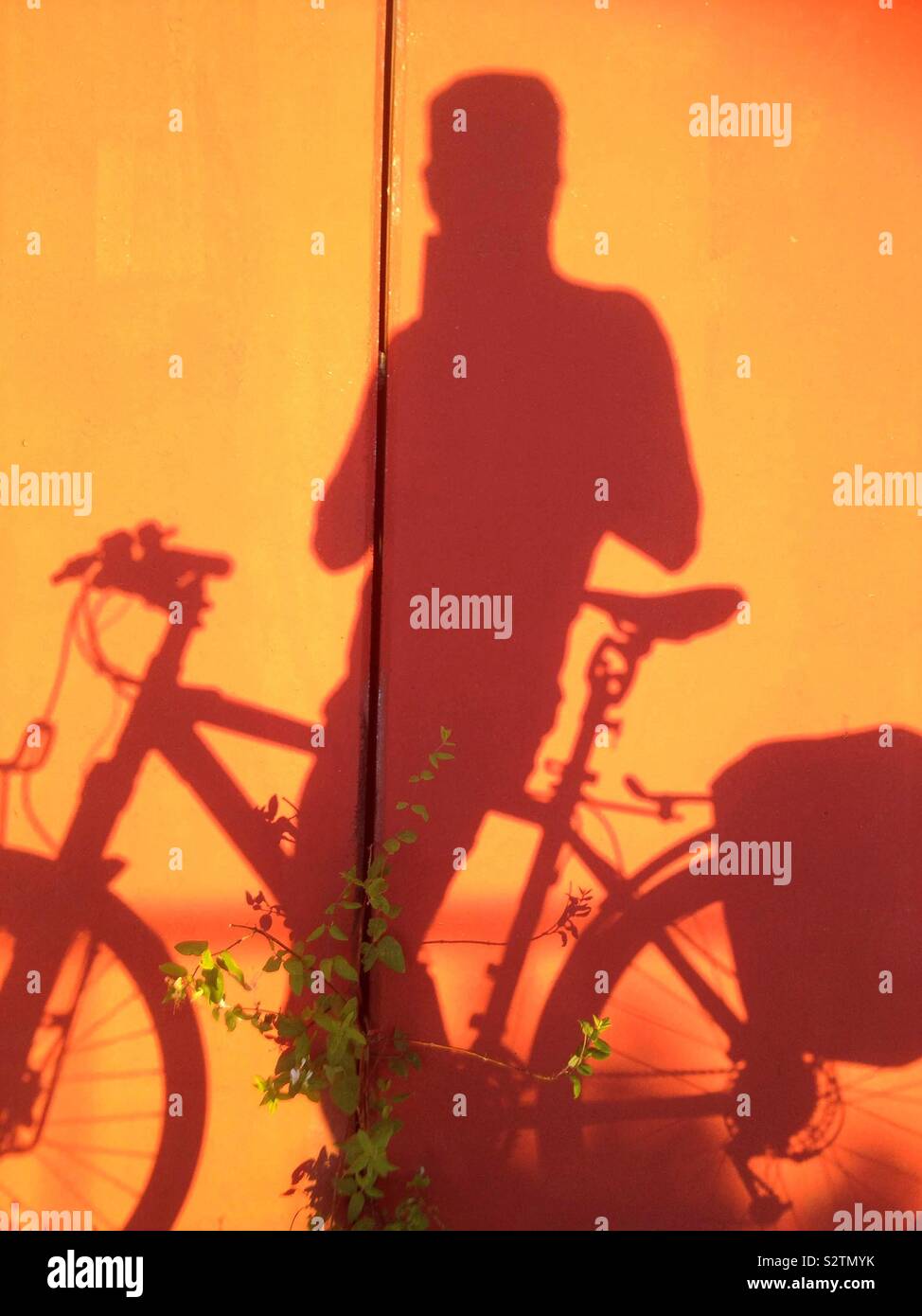 Shadow of a cyclist hi-res stock photography and images - Alamy