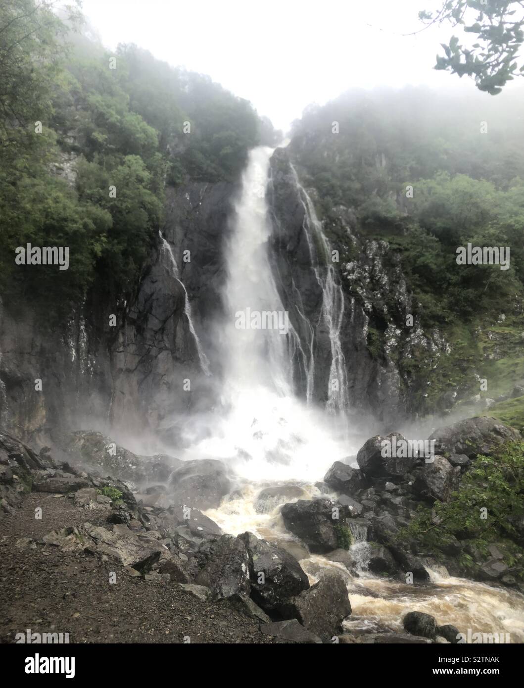 The power after rain Stock Photo - Alamy