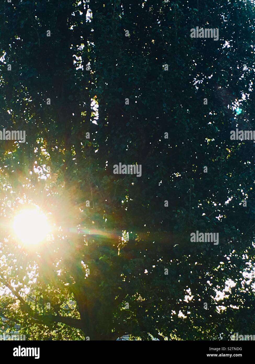Saying good morning hi-res stock photography and images - Alamy