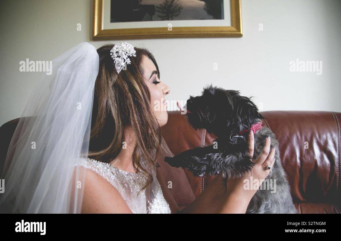 Perfect day for a dog hi-res stock photography and images - Alamy