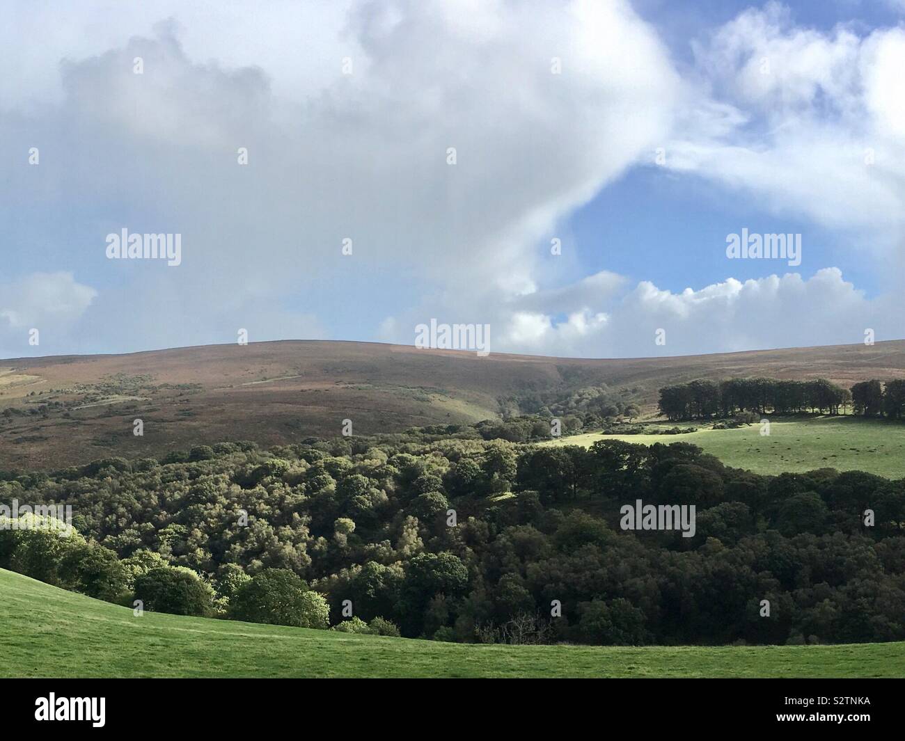 English landscape with woodland Stock Photo - Alamy