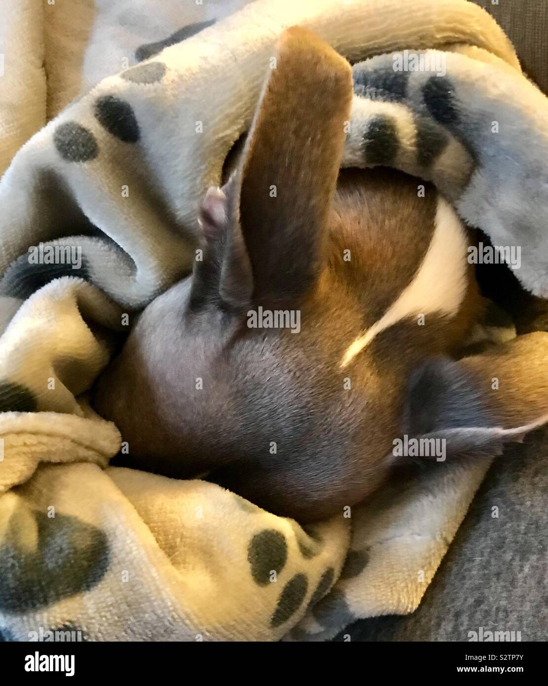Snuggled blankets hi-res stock photography and images - Alamy