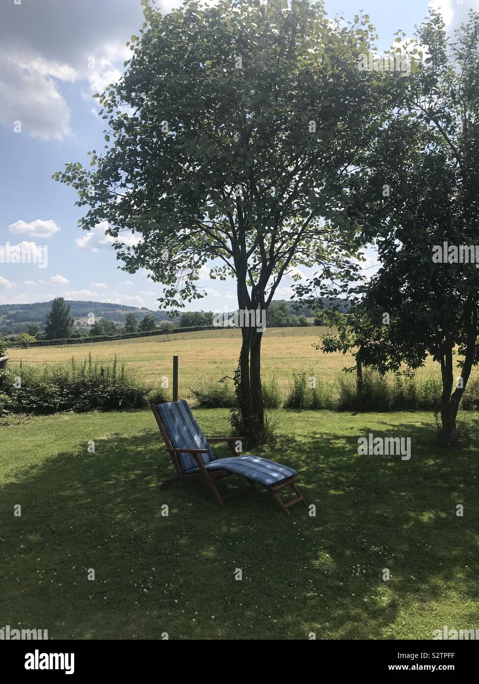 Reading a book under a tree Stock Photo - Alamy